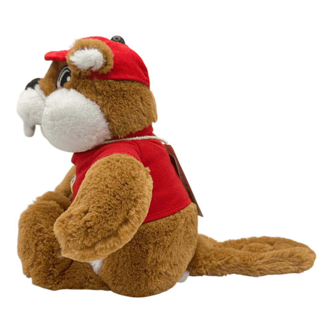 Buc-ee’s Plush Toys | Round, Holiday, Large & More – TrueTexasMerch
